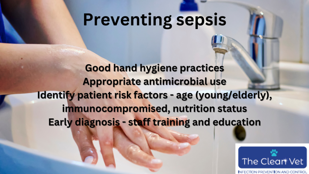 World Sepsis Day 13 September – The Clean Vet