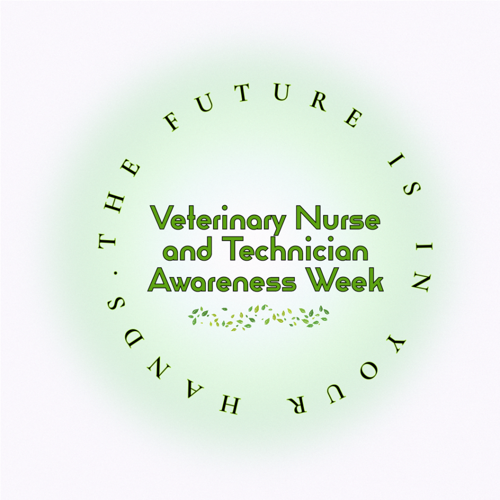 World Veterinary Nurse / Technician Awareness 9-13 October 2023 – The ...